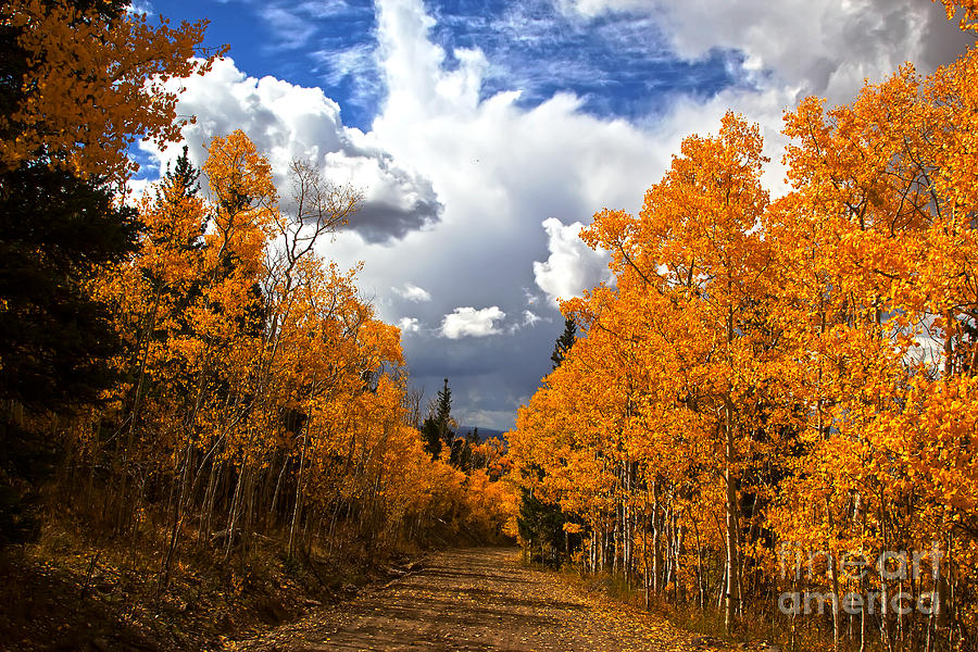 Rocky Mountain Fall #2 Photograph by Southern Utah Photography - Fine ...