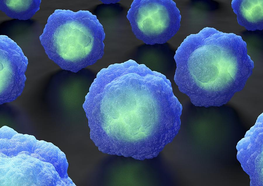 Stem Cells, Artwork Photograph by David Mack - Fine Art America