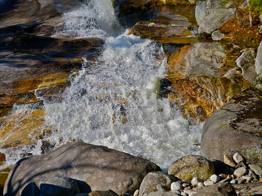Step Falls Springing Photograph by George Ramos