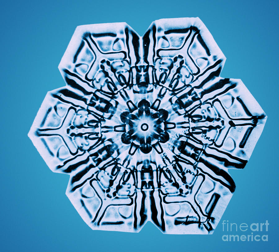 Snowflake Photograph by Science Source - Fine Art America