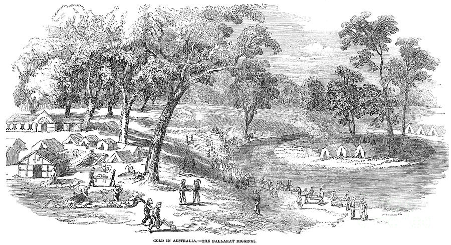 Australian Gold Rush, 1852 Photograph by Granger | Fine Art America