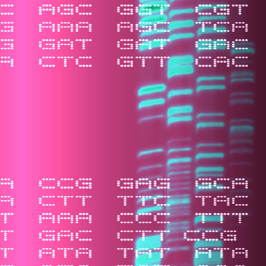Dna Autoradiogram, Artwork Photograph by Mehau Kulyk - Fine Art America