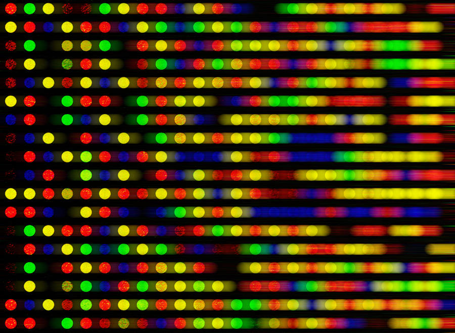 Dna Microarray Photograph by Pasieka