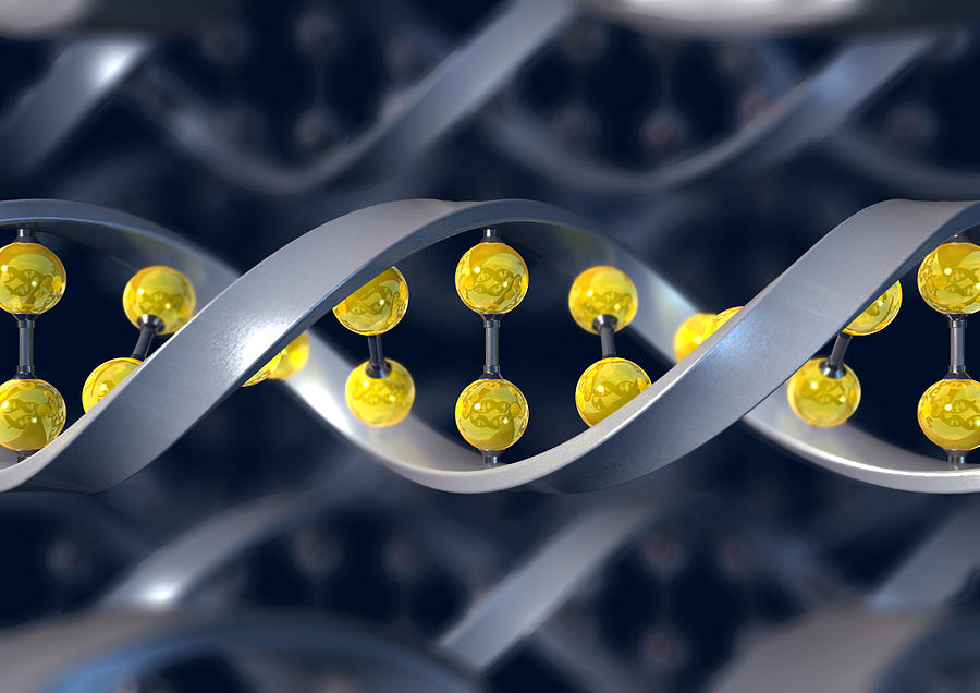 Dna Structure Photograph by David Mack - Fine Art America