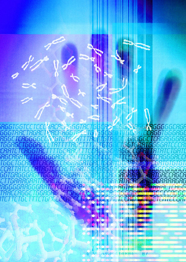 Genetic Code Photograph by Pasieka - Fine Art America