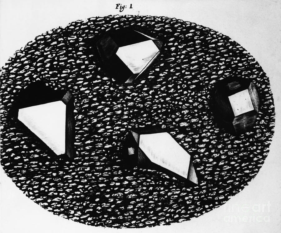 Micrographia Photograph by Science Source | Pixels