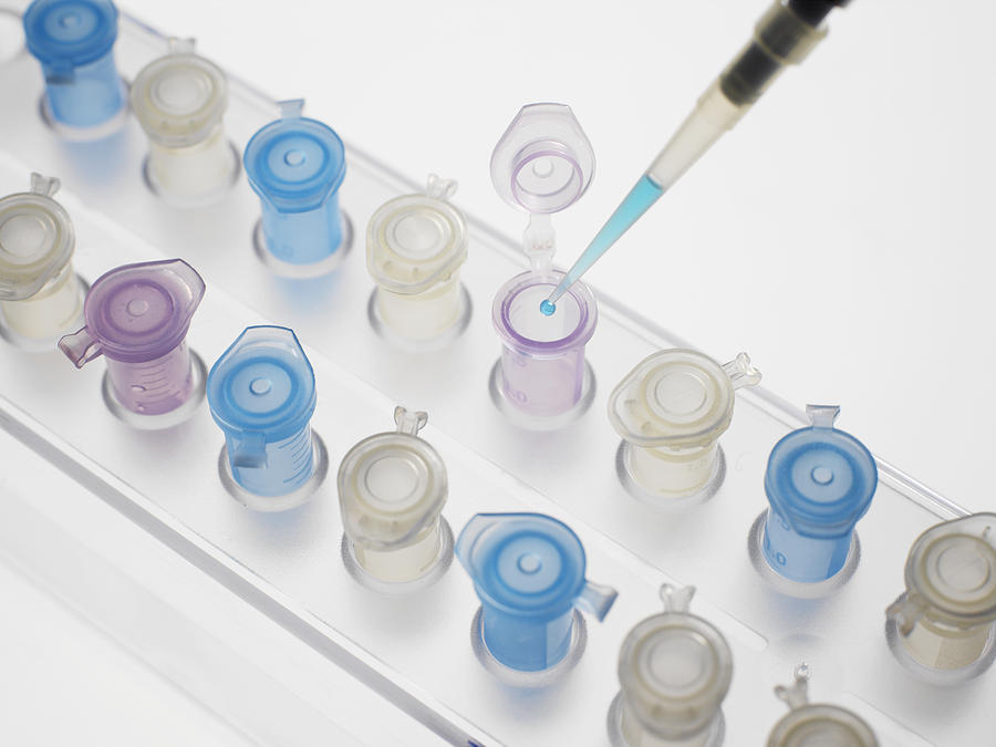Preparing Sample Vials Photograph by Tek Image - Pixels