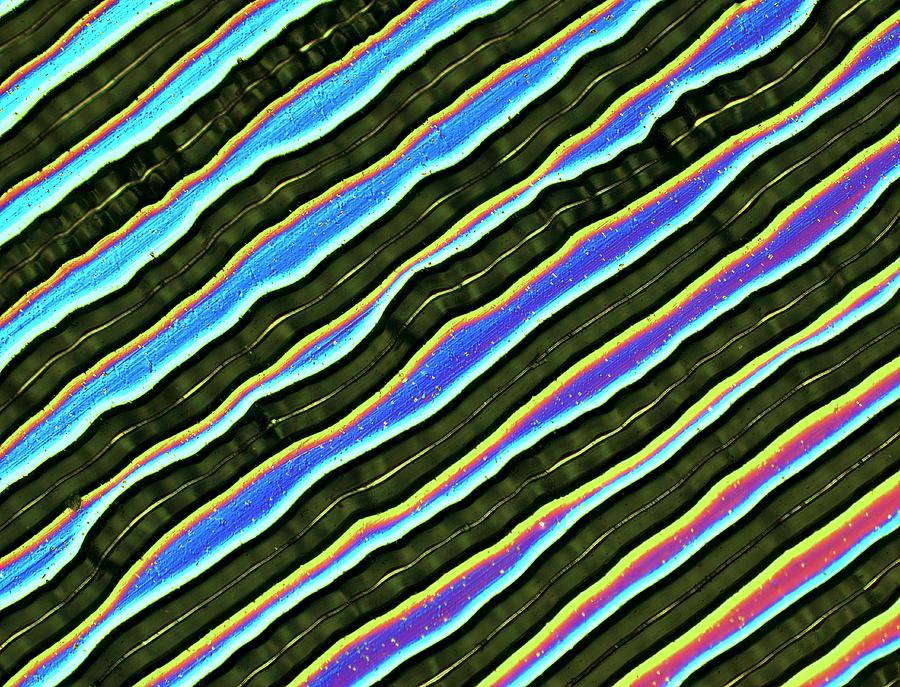 Record Surface, Light Micrograph Photograph by Pasieka - Fine Art America