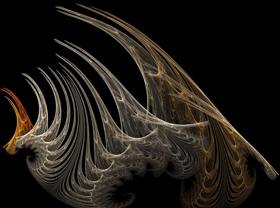 Skeleton Digital Art by Michele Caporaso - Fine Art America