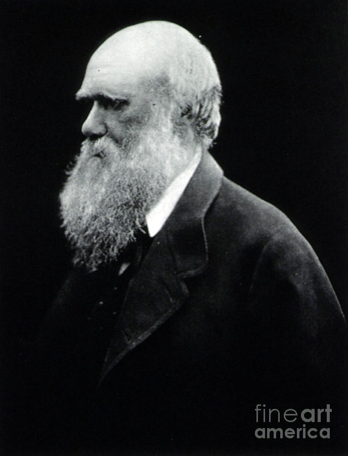 Charles Robert Darwin, English #4 by Science Source