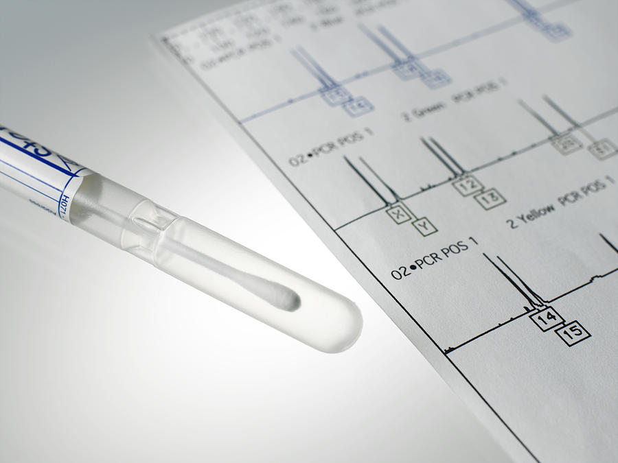 Genetic Testing #4 by Science Photo Library