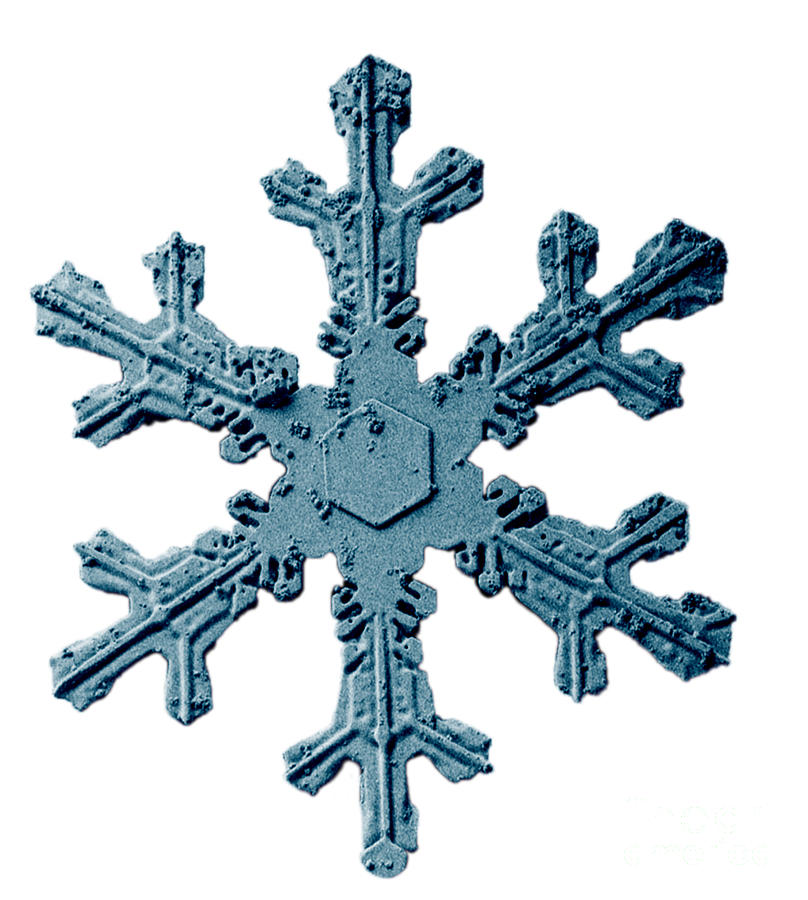 Snow Crystal Photograph by Science Source | Fine Art America
