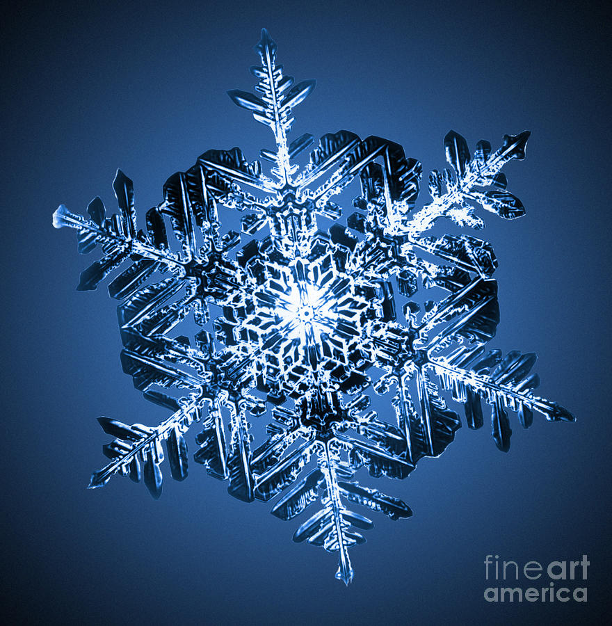 Snowflake Photograph by Science Source - Fine Art America