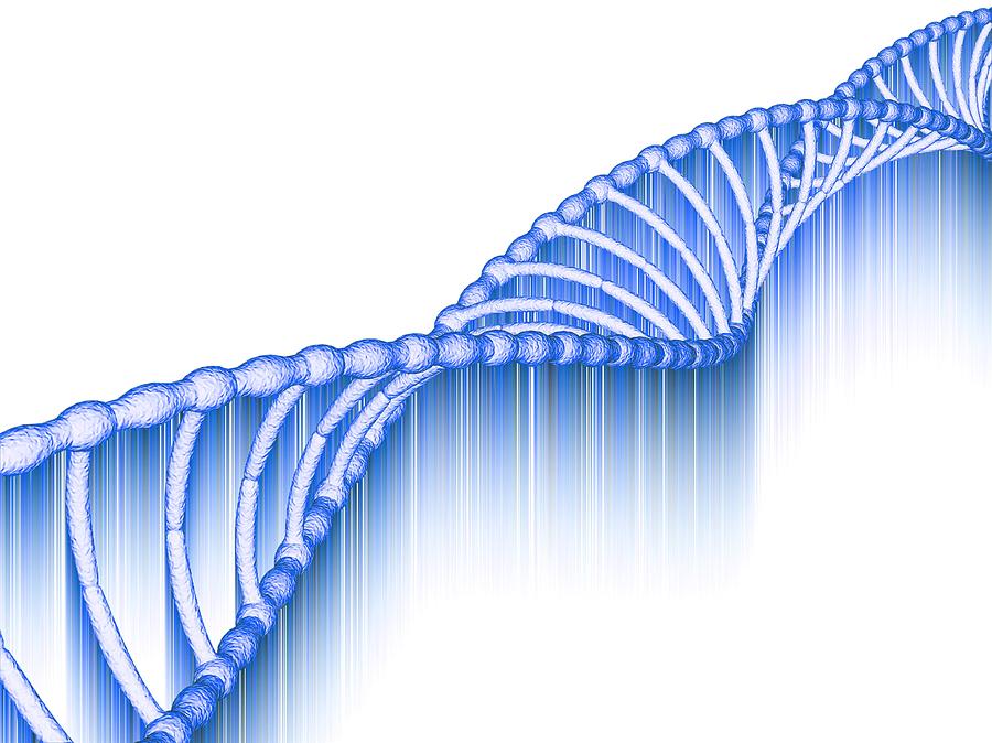 Dna Molecule, Computer Artwork Photograph by Pasieka - Fine Art America