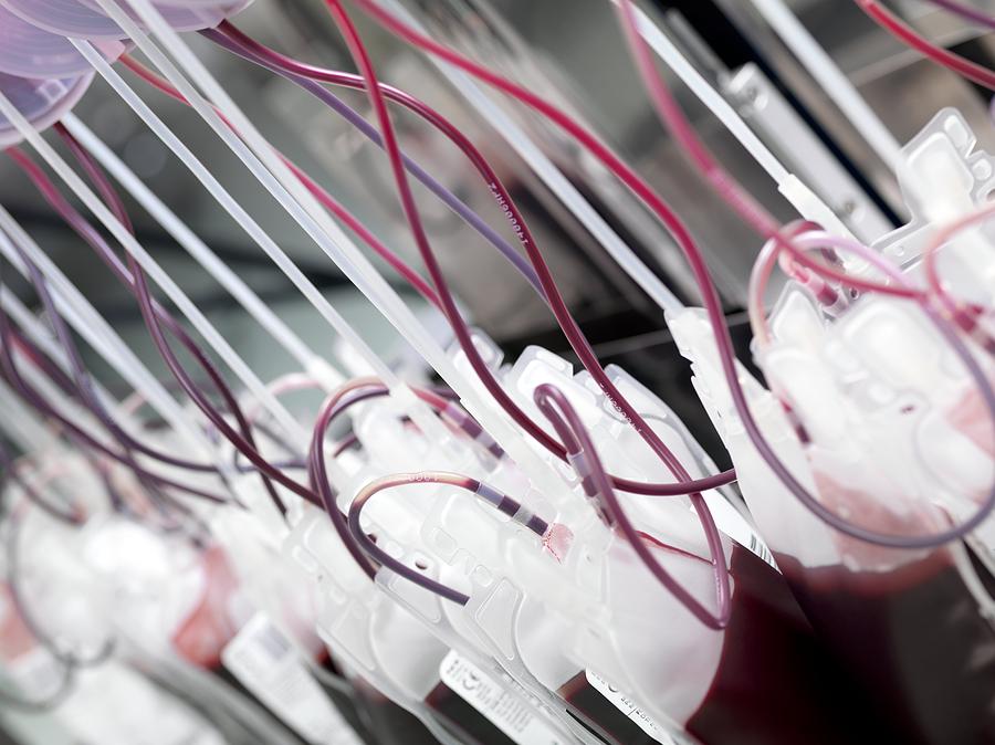 Donor Blood Processing Photograph by Tek Image - Fine Art America
