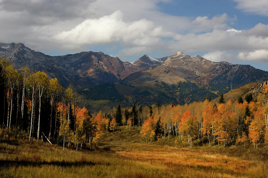 Fall Photograph by Southern Utah Photography - Fine Art America