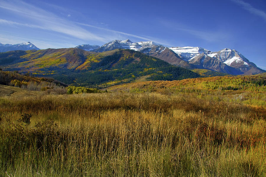 Fall Photograph by Southern Utah Photography - Fine Art America
