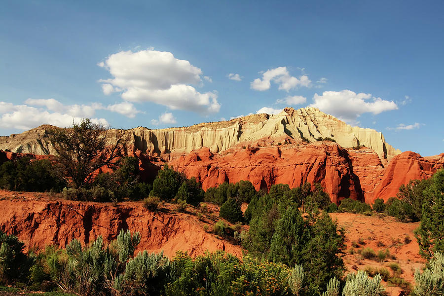 Red Rock Photograph by Southern Utah Photography - Fine Art America