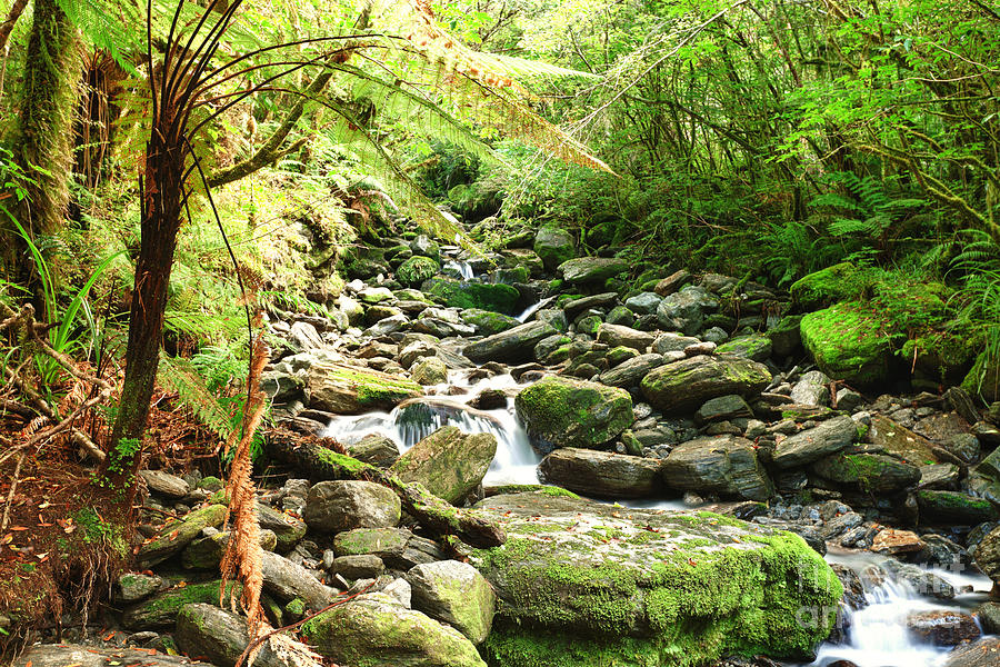 Stream Photograph by MotHaiBaPhoto Prints | Pixels