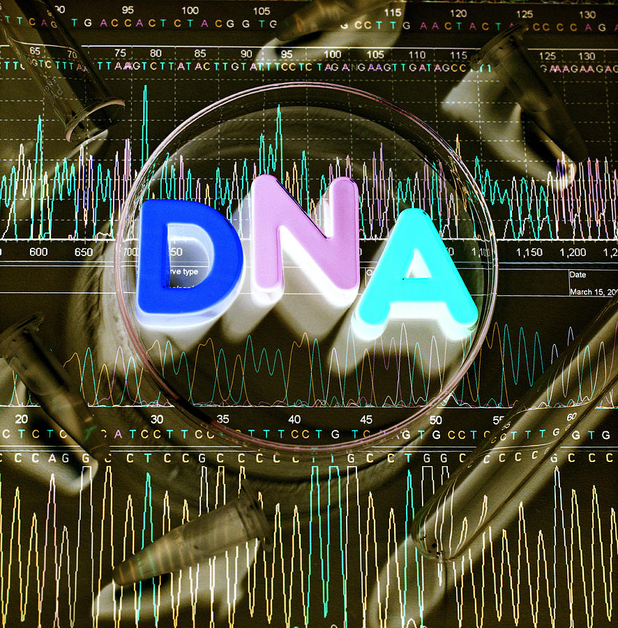 Dna Analysis Photograph by Kevin Curtis - Fine Art America