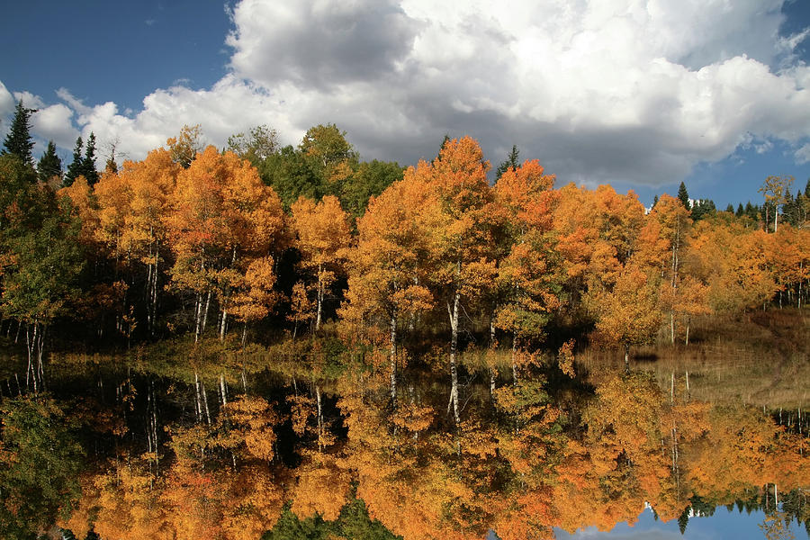 Fall Reflections Photograph by Southern Utah Photography | Fine Art America
