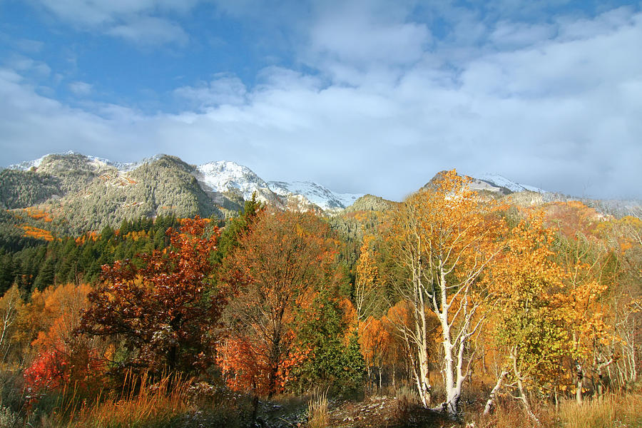 Fall Photograph by Southern Utah Photography - Fine Art America