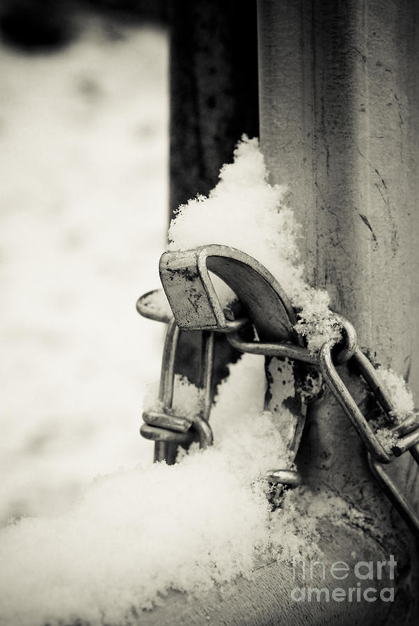 A Cold Lock Photograph by Leaetta Mitchell - Fine Art America