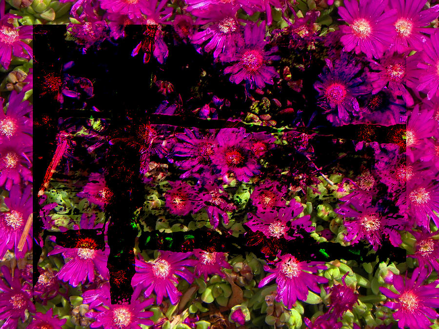 A Glimpse into Heaven Photograph by Lenore Senior - Fine Art America A Glimpse into Heaven Photograph by Lenore Senior - Fine Art America