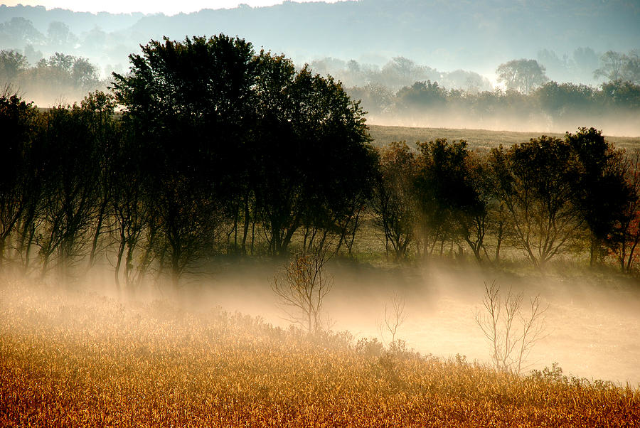 A Light Morning Fog And The Sun Shining On A Cornfield In Southern ...