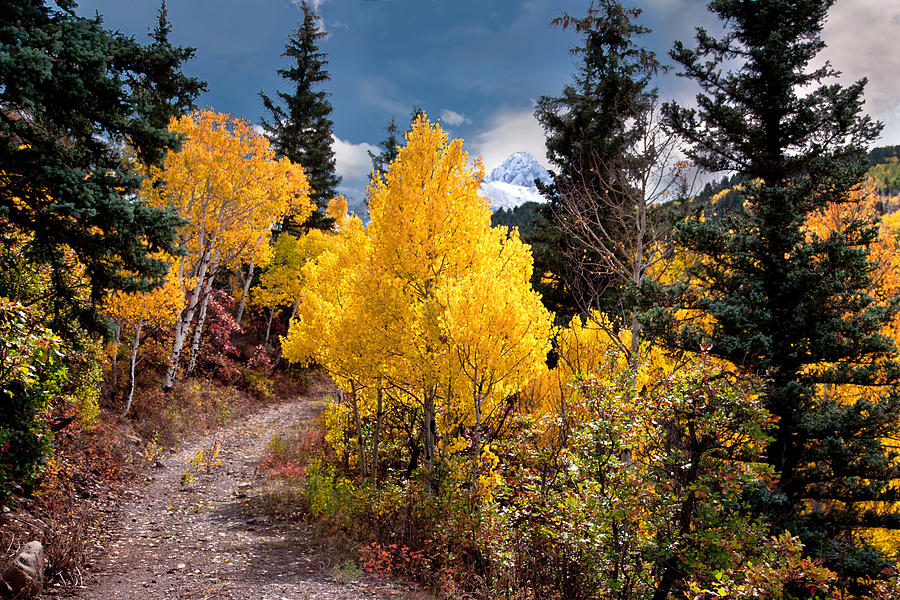 A Mountain Path Photograph by Peter Kunasz - Fine Art America
