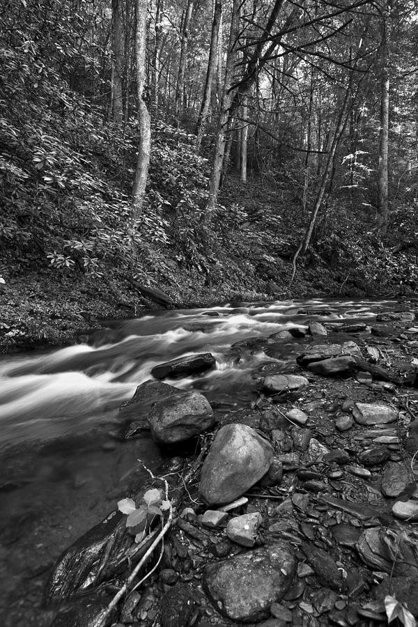 A Mountain Stream Photograph by Wayne Denmark - Fine Art America