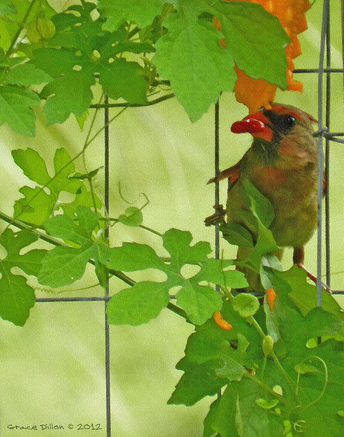 A Nibble Digital Art by Grace Dillon - Fine Art America