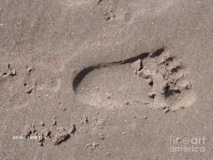 A Sandy Impression Photograph by Leah Cunningham - Fine Art America