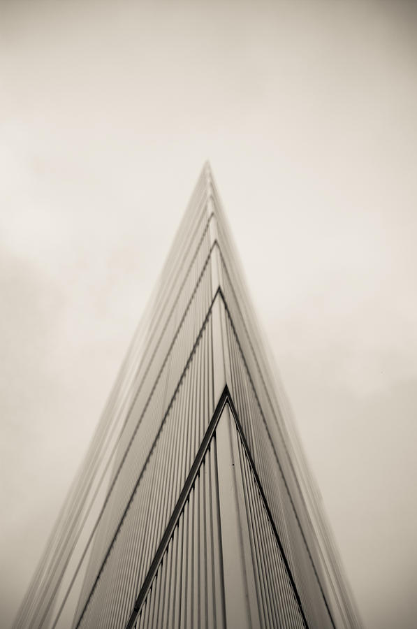 A Sharp Point. Photograph by Lenny Carter - Pixels