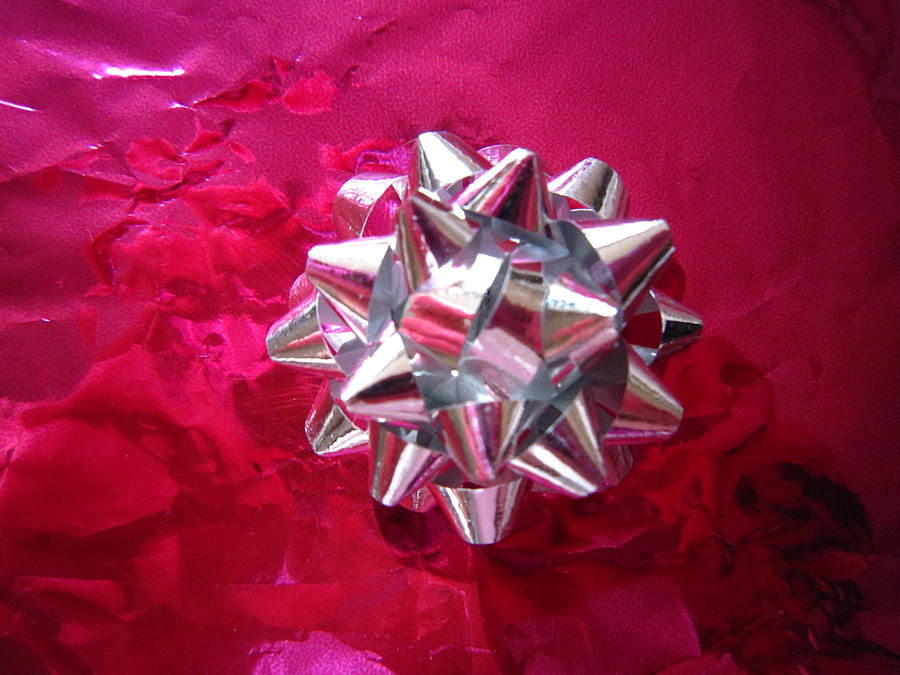 A Single Bow Photograph by Sarah E Ethridge - Fine Art America