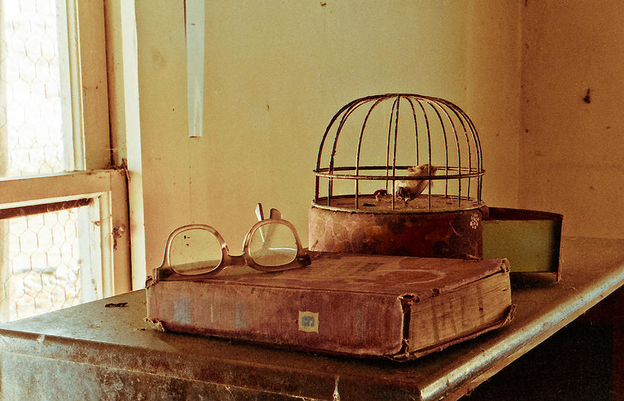Abandoned 2 Photograph by Mandy Willis - Fine Art America