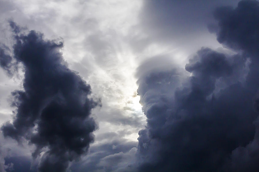 Abnormal Photograph by Nicholas Evans - Fine Art America