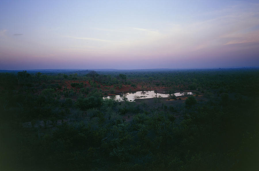 African Waterhole Photograph by Carlos Dominguez - Fine Art America