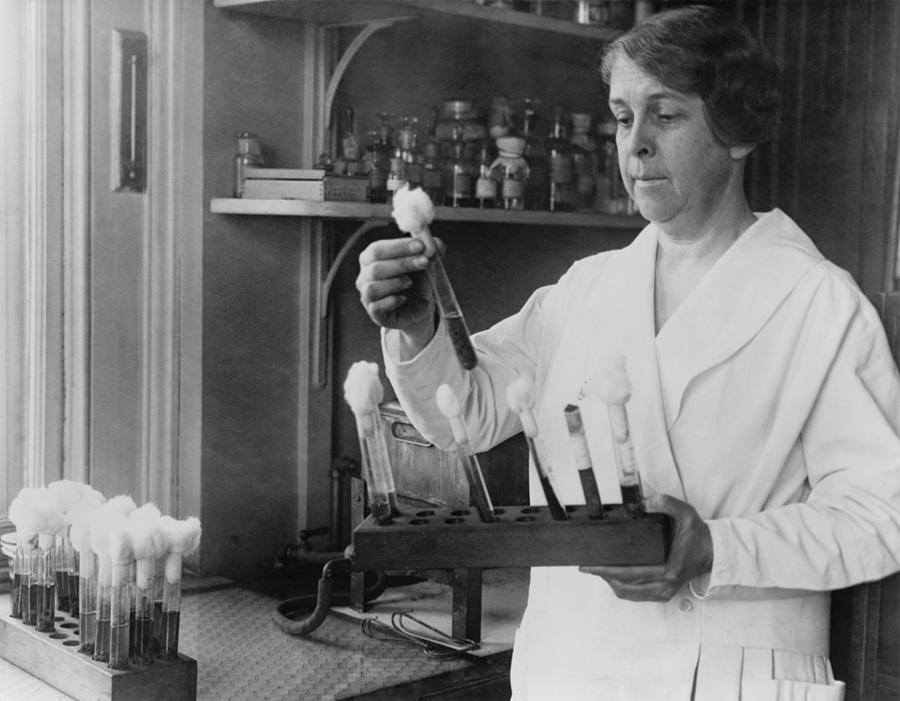 Alice Evans 1881-1975, Bacteriologist by Everett