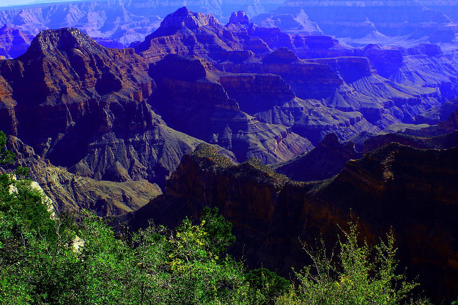 Alien Land Photograph by Sonya Anthony | Pixels