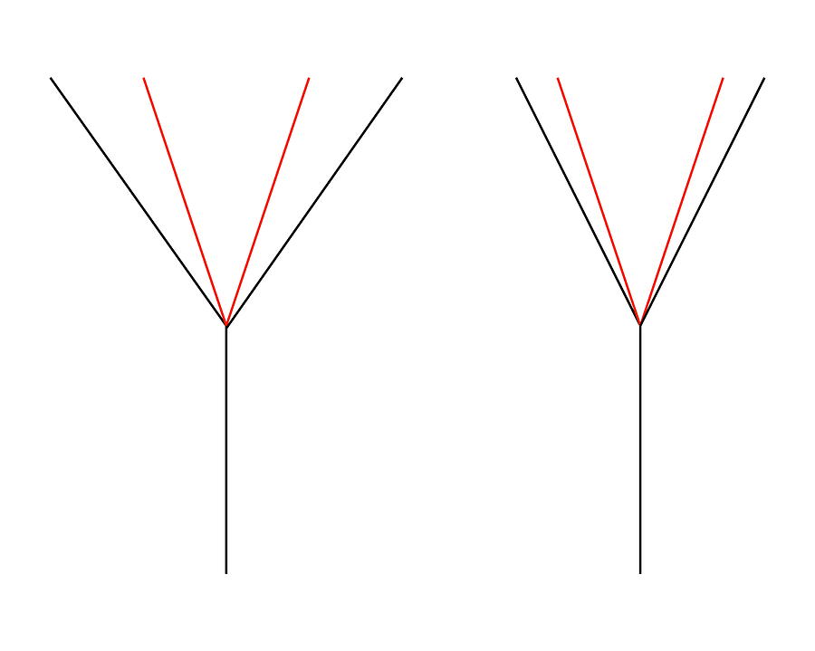 Angle Illusion by Science Photo Library