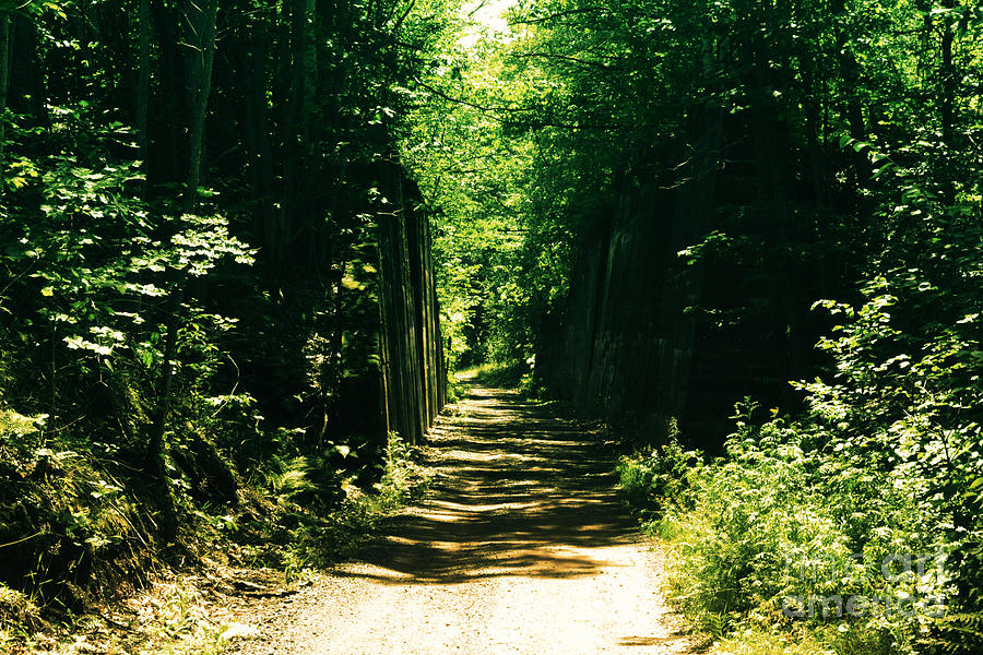 Apocalyptic Train Path Photograph by Jon Guertin - Fine Art America