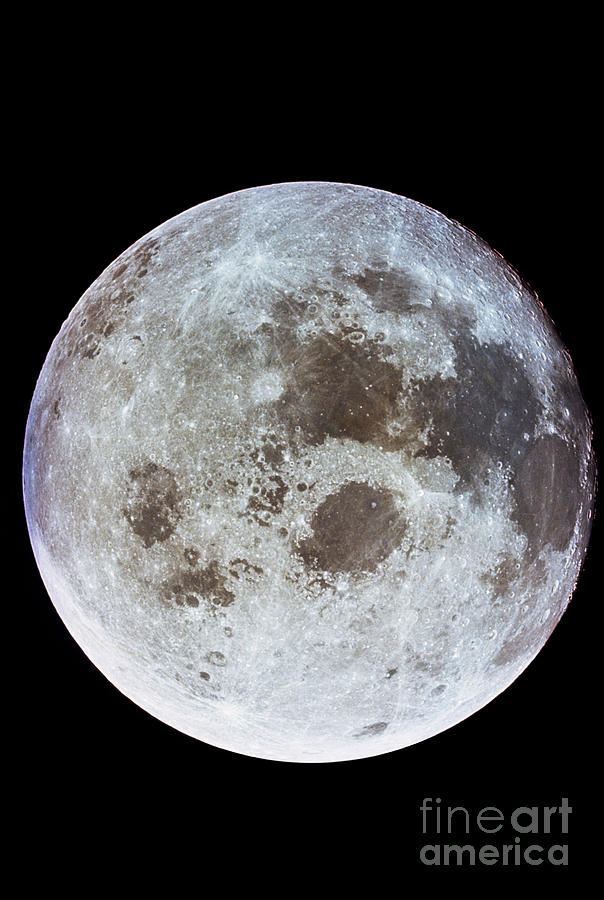 Apollo 11 View Of The Moon Photograph by Stocktrek Images - Fine Art ...