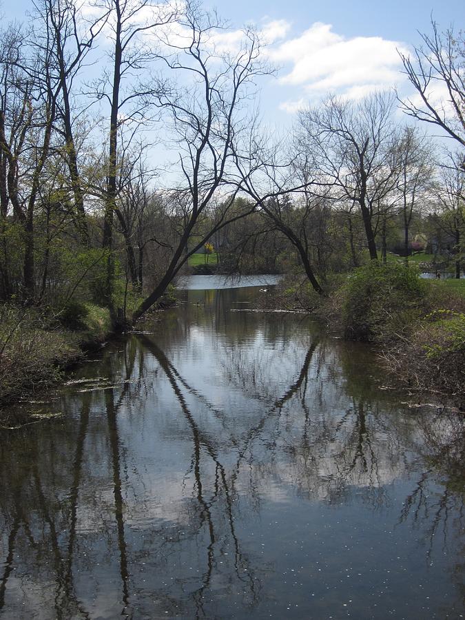 Arch Over Water Photograph by Guy Ricketts - Fine Art America