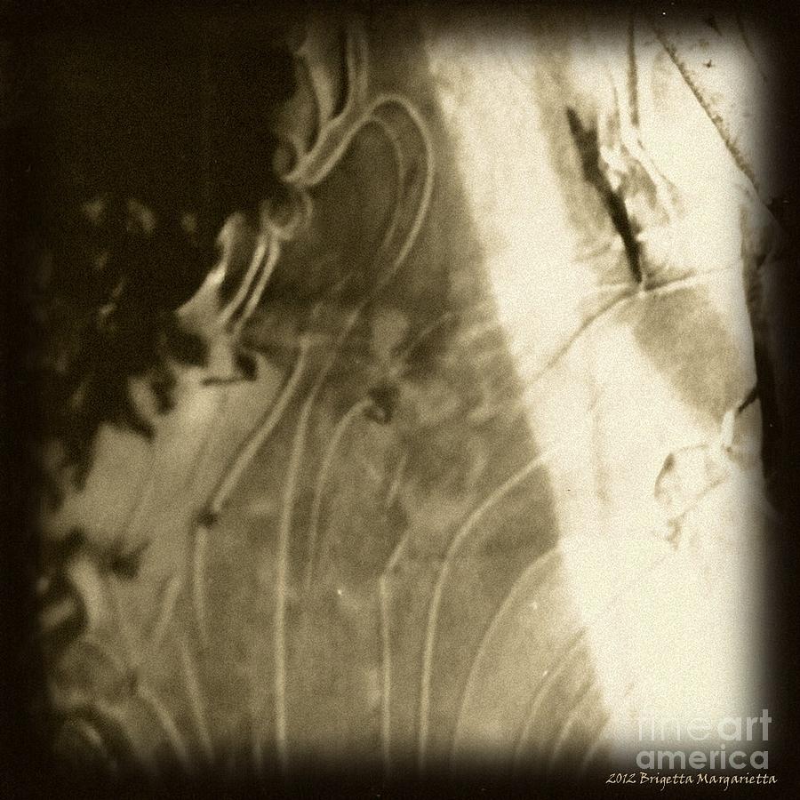 Art Nouveau Ice Photograph by Brigetta Margarietta - Pixels Art Nouveau Ice Photograph by Brigetta Margarietta - Pixels