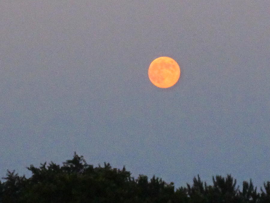 August Moon Photograph by Guy Ricketts - Fine Art America