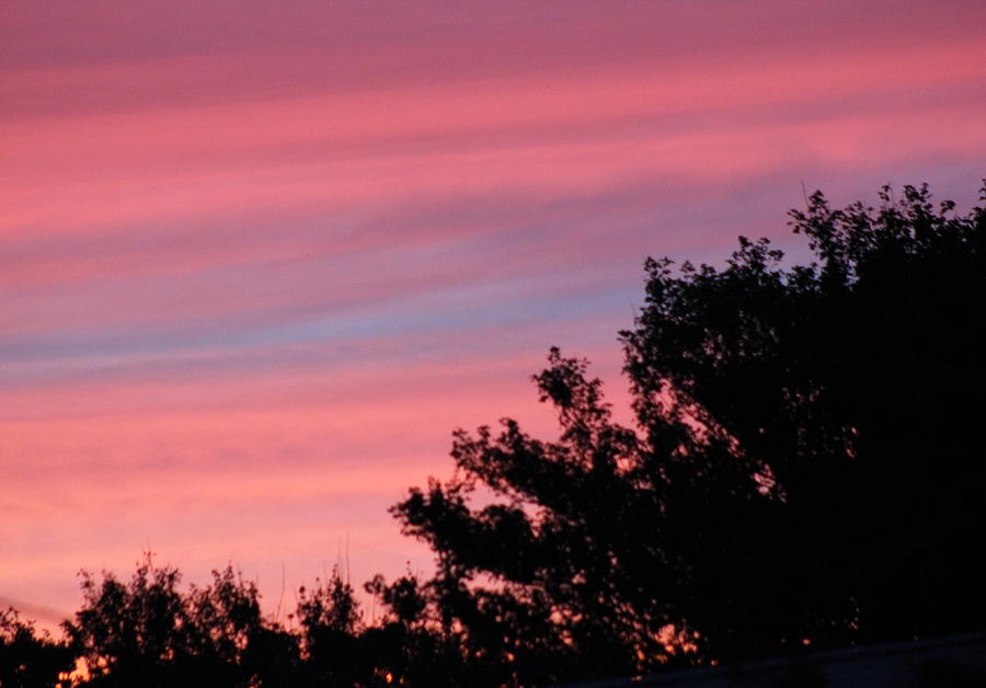 August sky Photograph by Amy Holmes - Fine Art America
