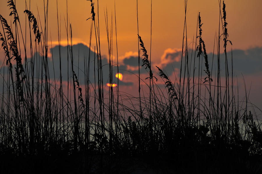 August sunset Photograph by David Lee Thompson - Fine Art America