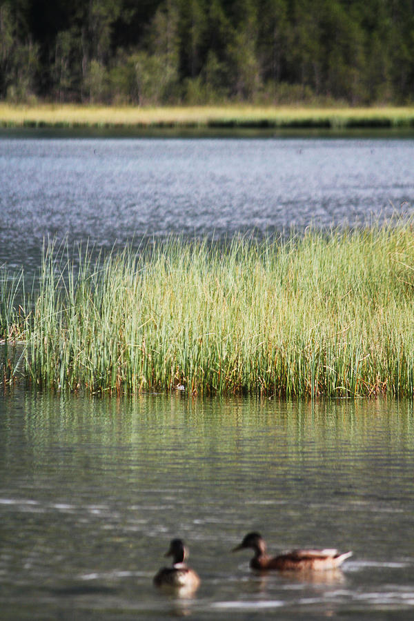 Austrian Lake Photograph by Baker Eck - Pixels