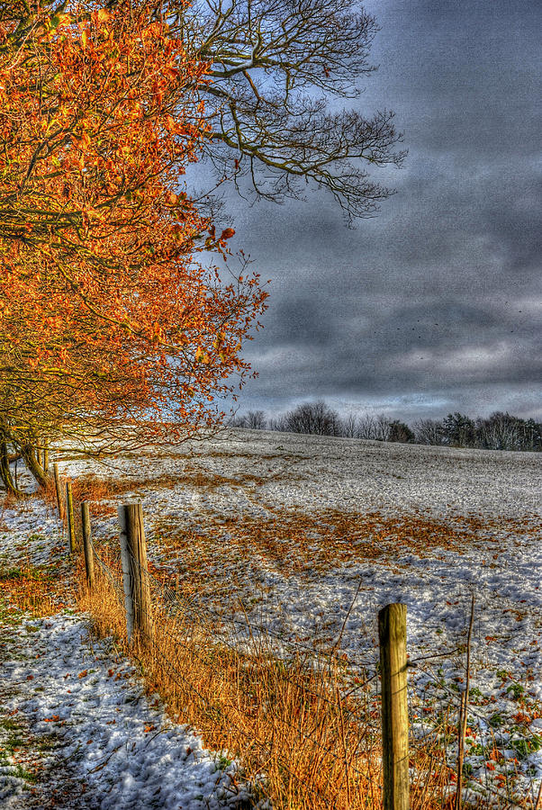 Autumn Fields Photograph by Jane James - Fine Art America